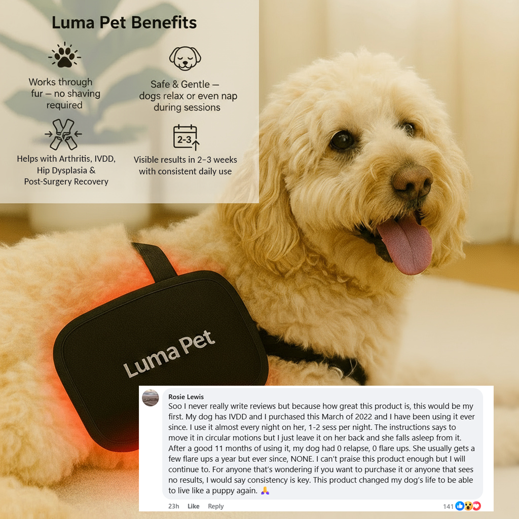 Luma Pet Red Light Mat – Luma pet
