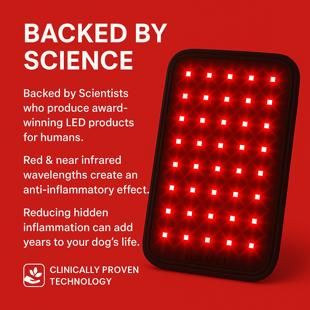 Luma Pet Red Light Mat – Luma pet